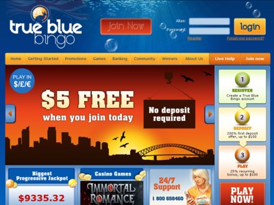 True Blue Bingo Review - The Ultimate Australian Bingo Site